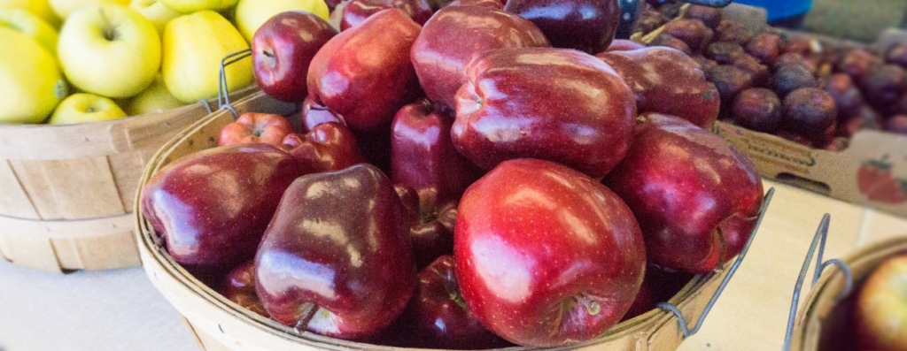 Fresh produce from Mohawk Valley Farms - Mohawk Valley Today