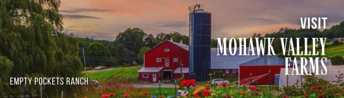 Mohawk Valley Farms - Mohawk Valley Today